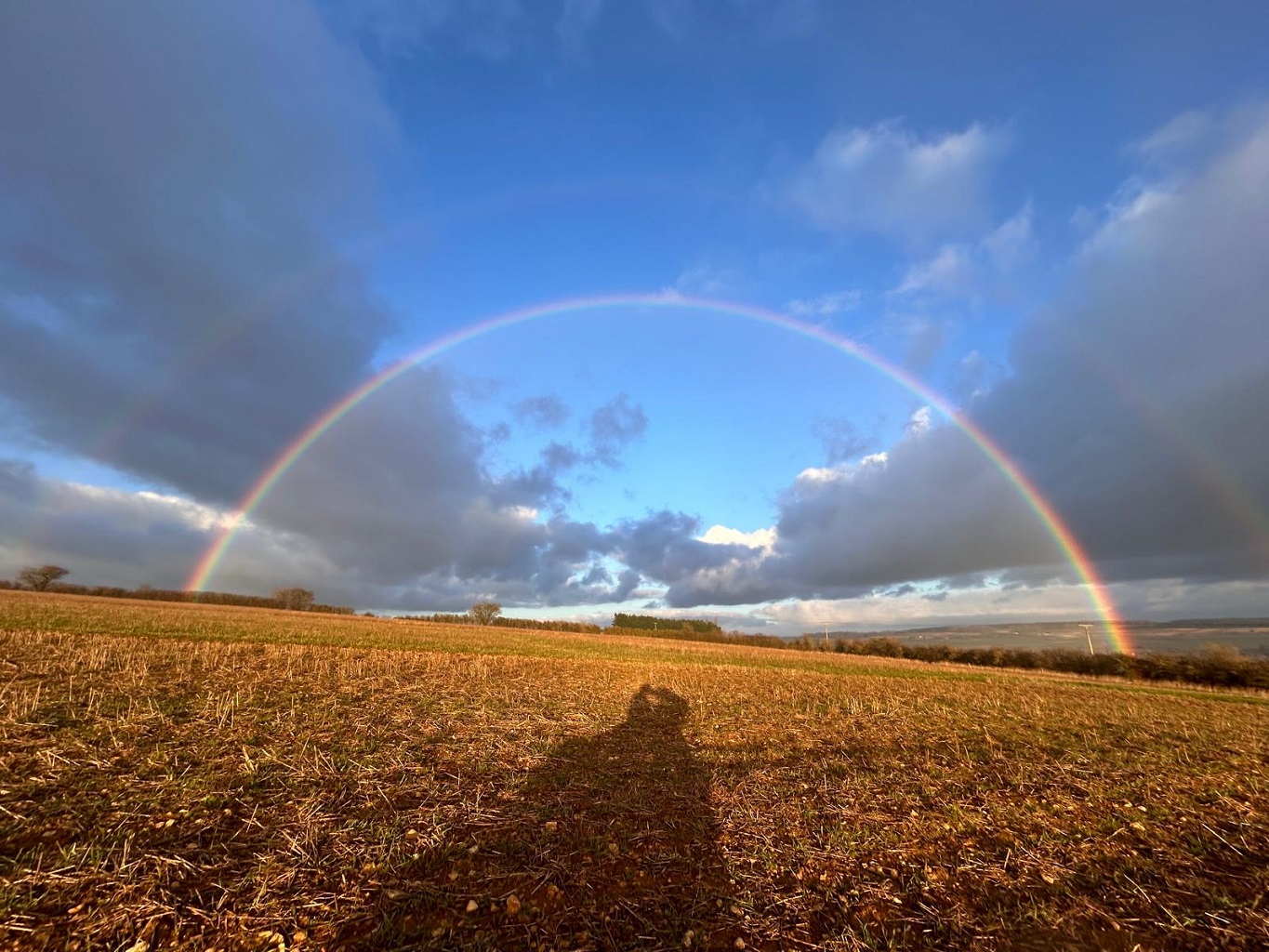 An energetic approach to assessing nature recovery in soils – a ...